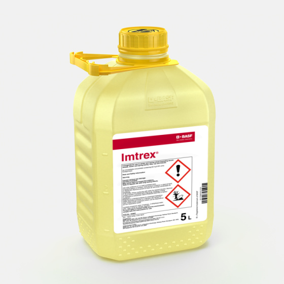 Cocksfoot - Agricultural Solutions